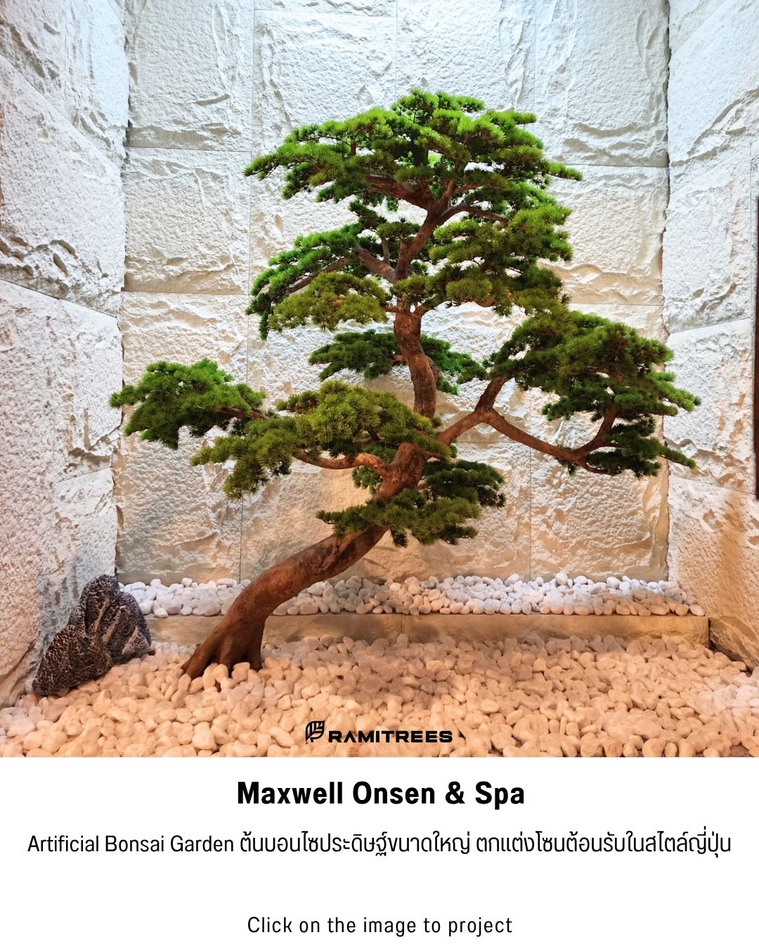 ต้นบอนไซประดิษฐ์ขนาดใหญ่ (Bonsai Tree) ตกแต่งโซนต้อนรับในสไตล์ญี่ปุ่น ...