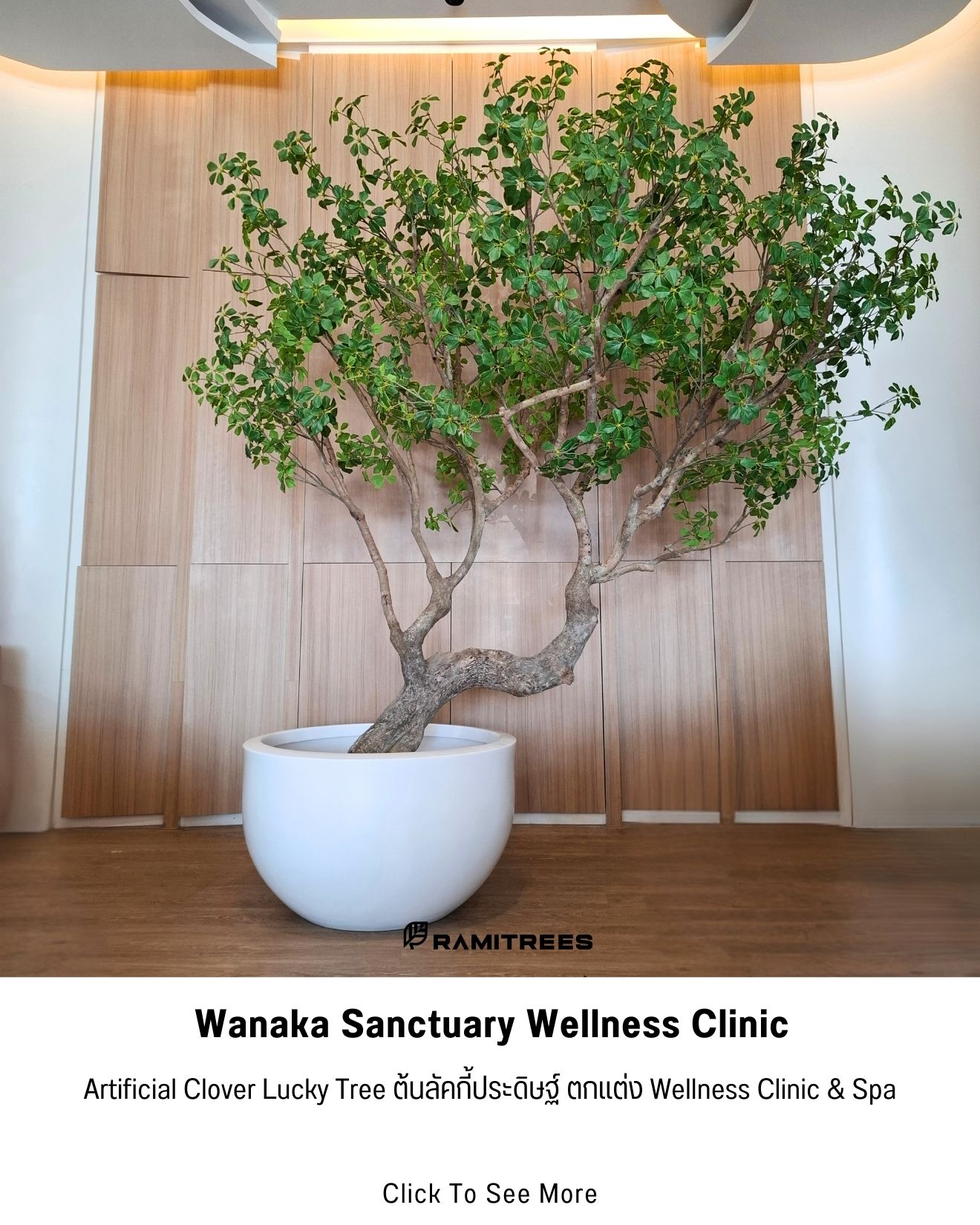 Artificial Clover Lucky Tree ต้นลัคกี้ประดิษฐ์ ตกแต่ง Wellness Clinic ...